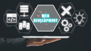 A Full Guide of Web Development Life Cycle — VirtueNenetz